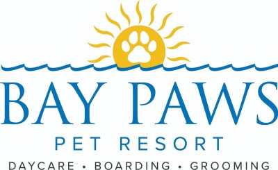 The Incredible Duck Race